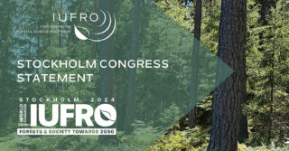 The Stockholm Congress Statement is Now Official | IUFRO Stockholm 2024