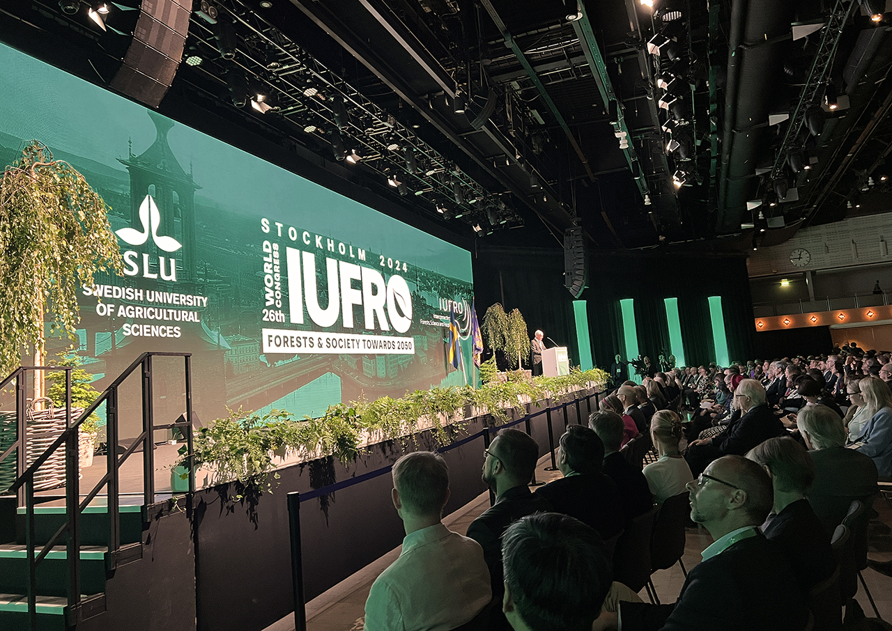 Opening Ceremony | IUFRO Stockholm 2024